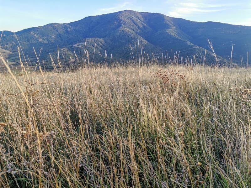 Mountain, Nice, Grass, Distance Stock Photo - Image of ridge, field ...