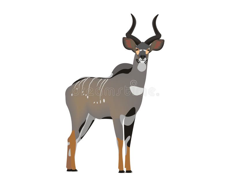 Nyala Stock Illustrations – 308 Nyala Stock Illustrations, Vectors ...