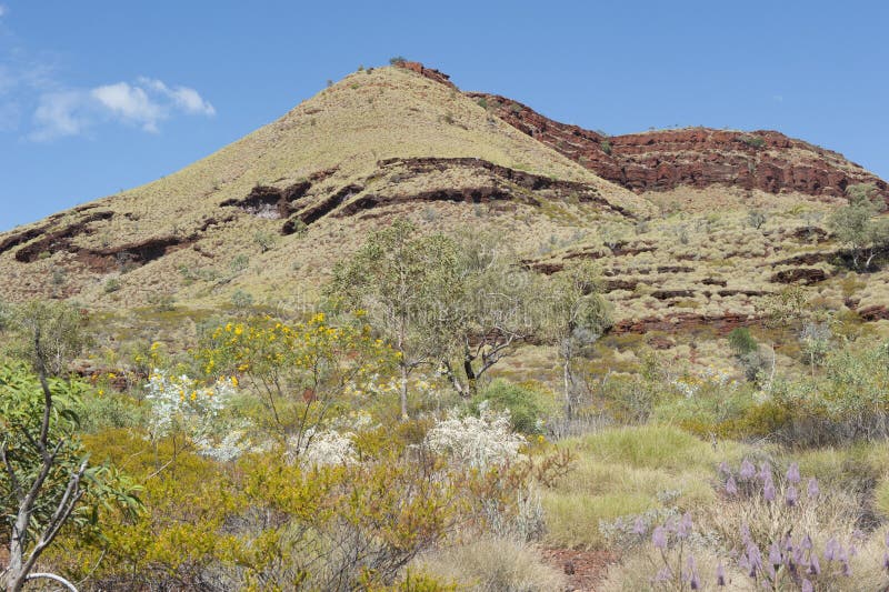 Mountain Outback Australia stock photo. Image of plants - 21010258