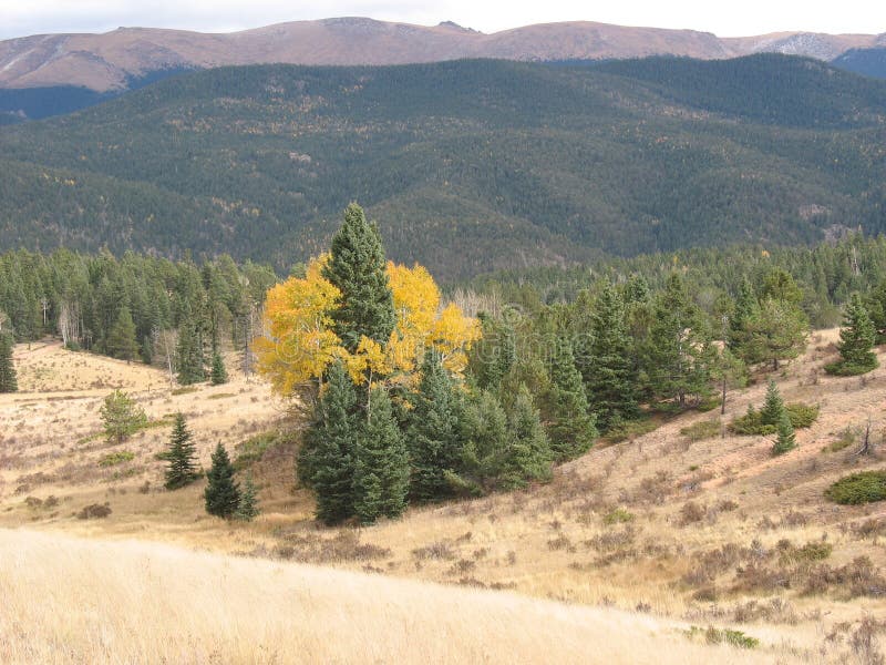 Mountain overlook stock image. Image of mountains, forest - 24861219