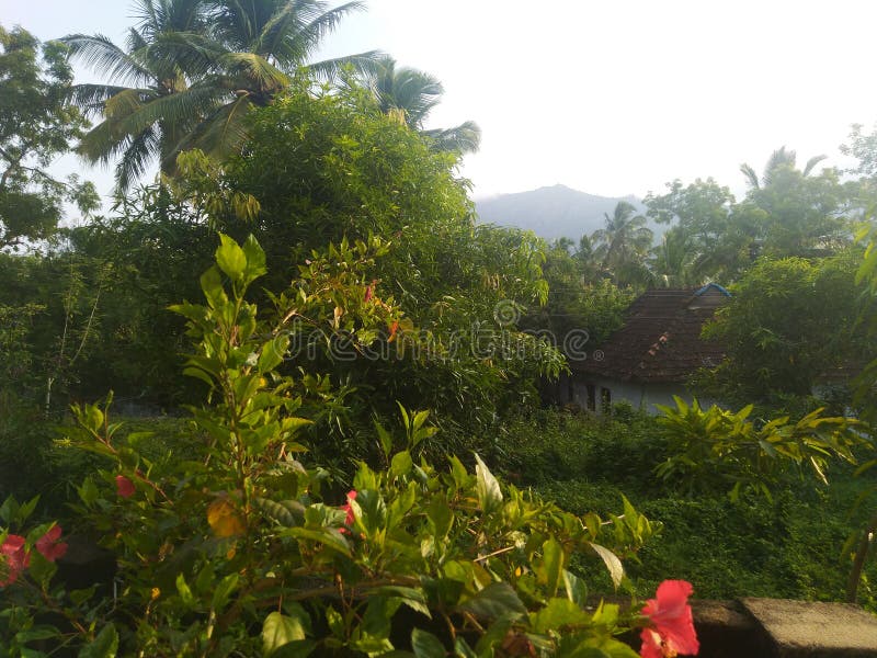 Mountain stock image. Image of path, tree, nature, pallam - 148581829