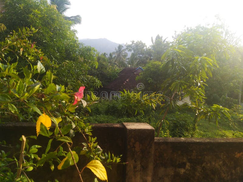 Mountain stock image. Image of tree, mountain, pallam - 148581863