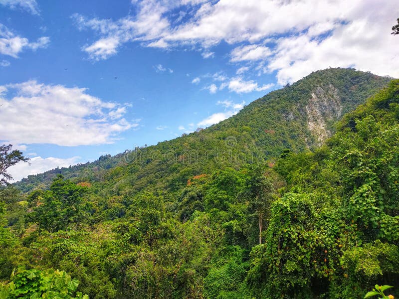 Mountain from Palu stock photo. Image of tree, mountain - 208856968
