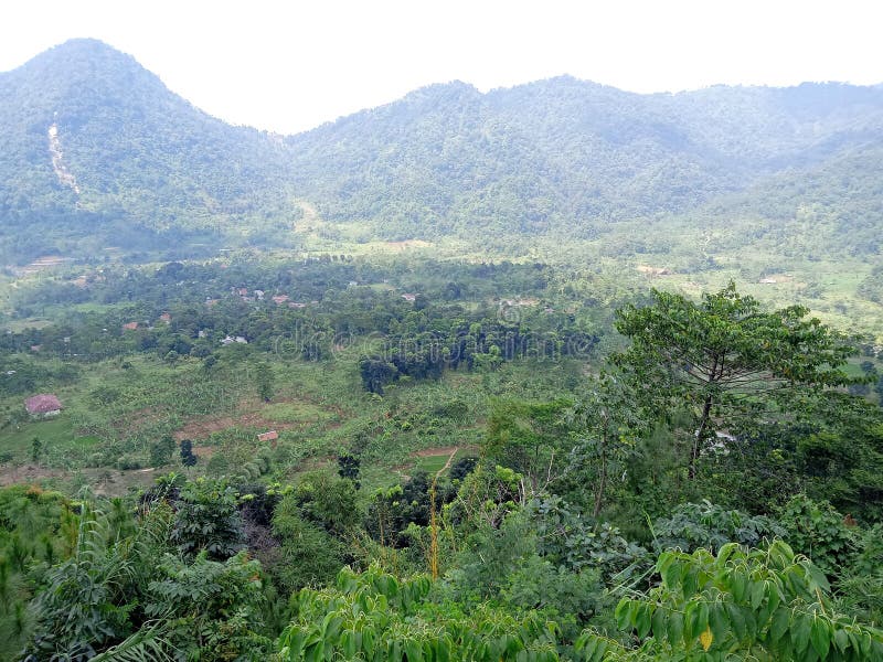 Photo Mountain Pancar, West Java Indonesia Stock Photo - Image of ...