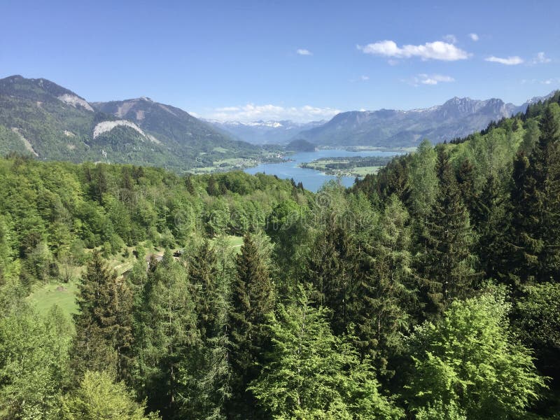 Mountain Panorama with a Forest and Lake Stock Image - Image of ...