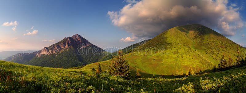 Beauty Mountain Panorama with Flowers - Slovakia Stock Photo - Image of ...