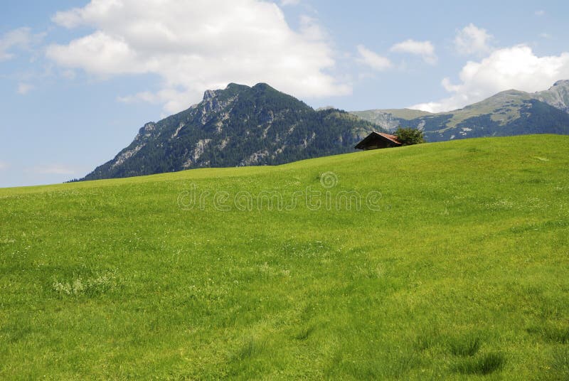 Mountain pasture stock photo. Image of bavaria, grass - 21987644