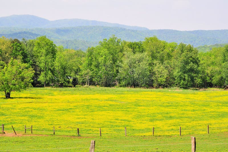 Mountain Pasture Land stock photo. Image of pasture, scenic - 24843442