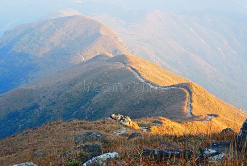 Mountain path stock photo. Image of green, rural, meadow - 19203880