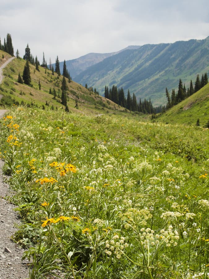 Mountain Path stock image. Image of butte, plant, endemic - 25652343