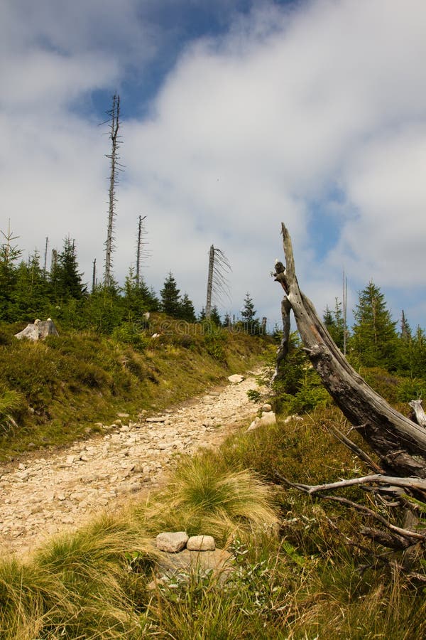 Mountain path stock image. Image of autumn, forest, october - 26809059