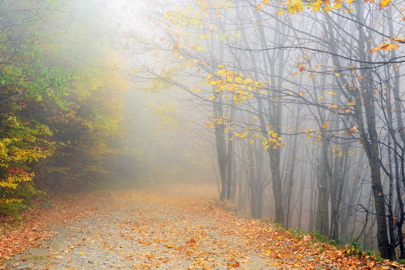 Mountain Path in Autumn Colours Stock Image - Image of people, autumn ...