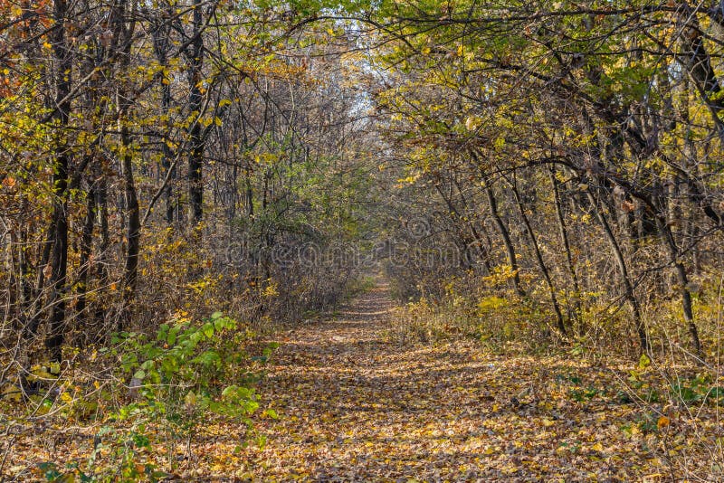 Mountain Path in Autumn Landscape. Horizontal Background of Mountain ...