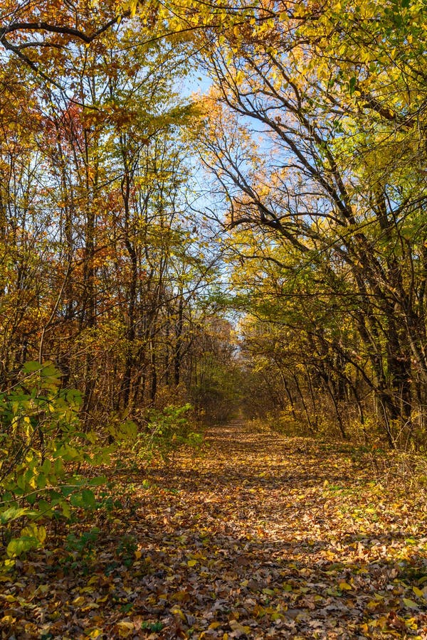 Mountain Path In Autumn Landscape. Vertical View Of Mountain Pat Stock ...