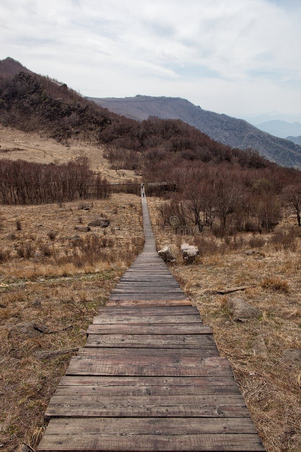 Mountain path stock photo. Image of forest, fresh, highland - 49413724