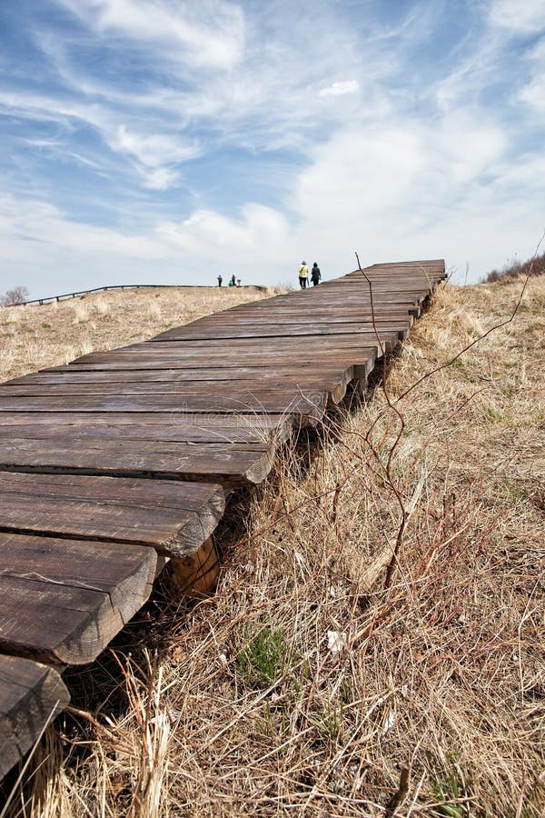 Mountain path stock photo. Image of park, follow, life - 49586472