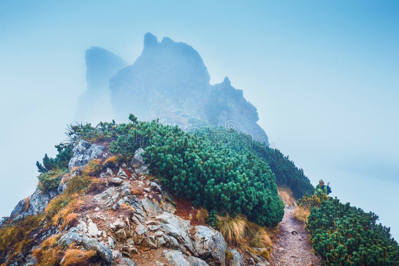Mountain Path Hidden in the Mist Stock Photo - Image of cloud, journey ...