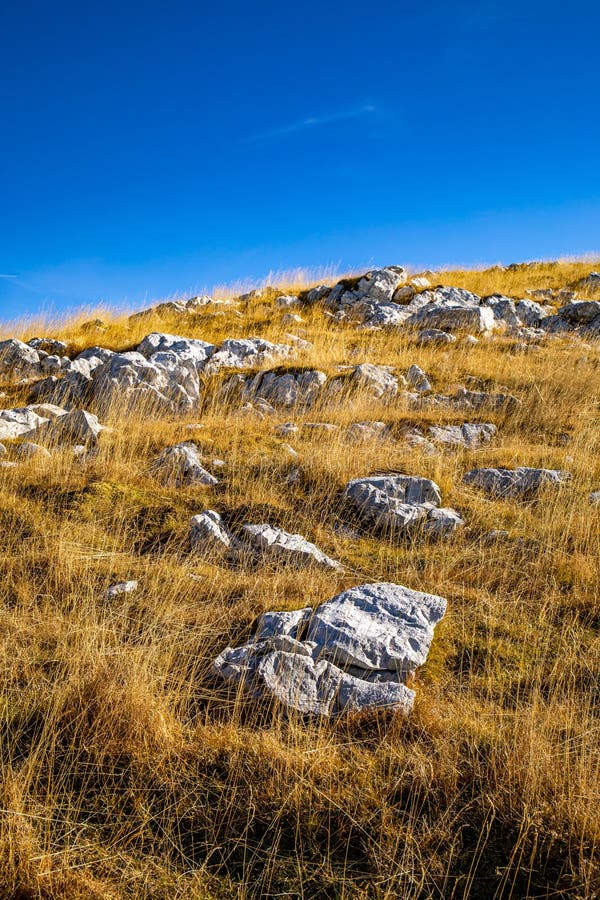 Mountain Path in High Mountains Stock Photo - Image of peaceful, scene ...