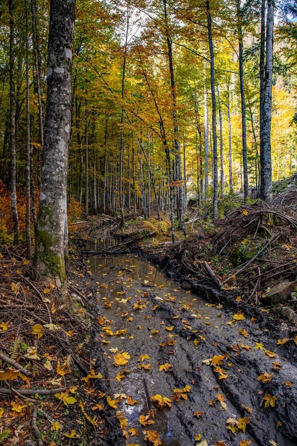 Mountain Path in High Mountains Stock Photo - Image of peaceful ...