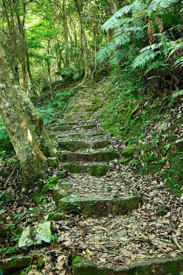 Mountain path for hiking stock image. Image of land, horizon - 22804535
