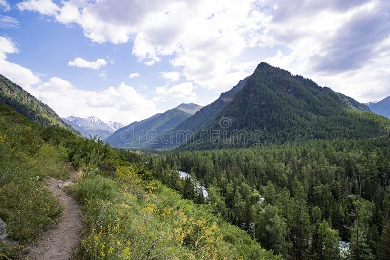 Mountain Path Leading To the Top of the Mountain. Wildlife Stock Image ...