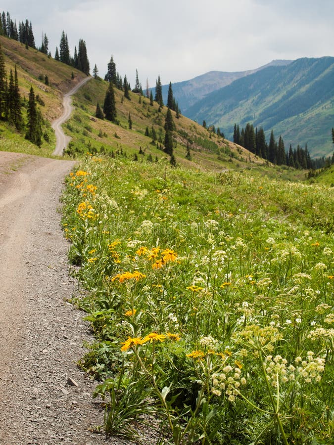 Mountain Path stock photo. Image of wildflower, summer - 284056054