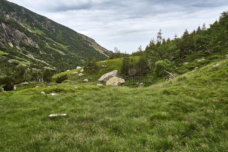 Mountain path stock photo. Image of mountain, track - 227420838