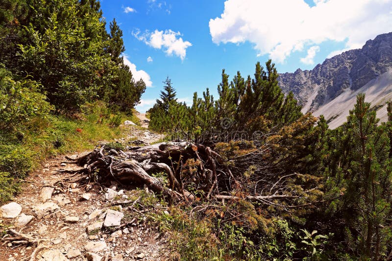 Mountain Path in the Mountains Stock Photo - Image of summer, climbing ...