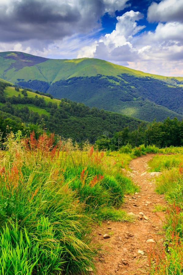 Mountain Path in the Tall Grass Stock Image - Image of stone, park ...