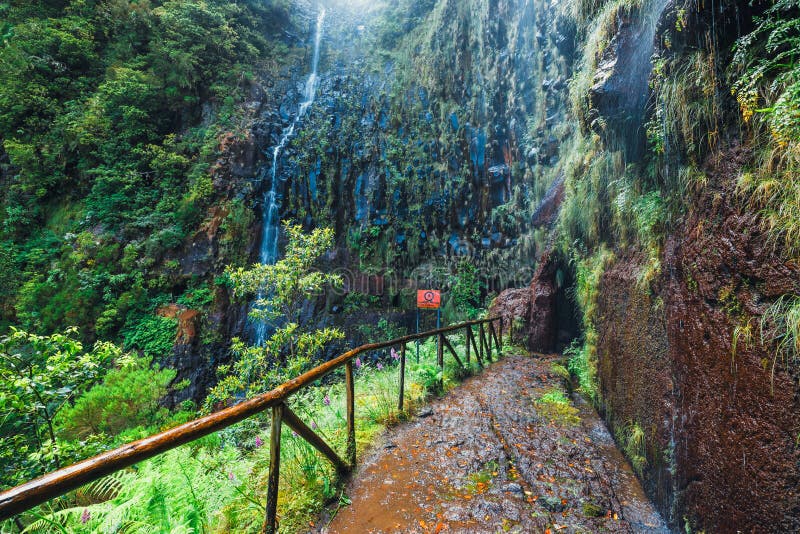 Mountain Path To Levada Das 25 Fontes and Levada Do Risco , Madeira ...