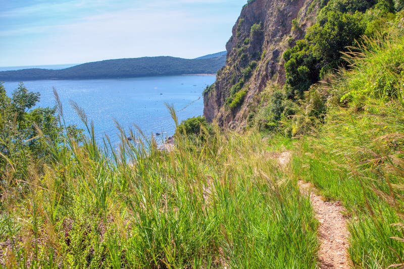 Mountain path to the sea stock image. Image of green - 167342761