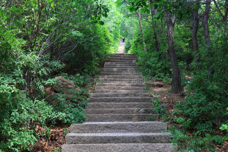 Mountain Path in the Tourist Area Stock Image - Image of natural, rural ...