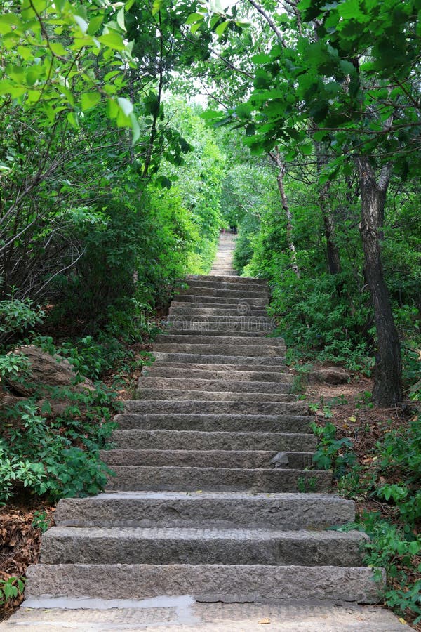 Mountain Path in the Tourist Area Stock Image - Image of season, deep ...