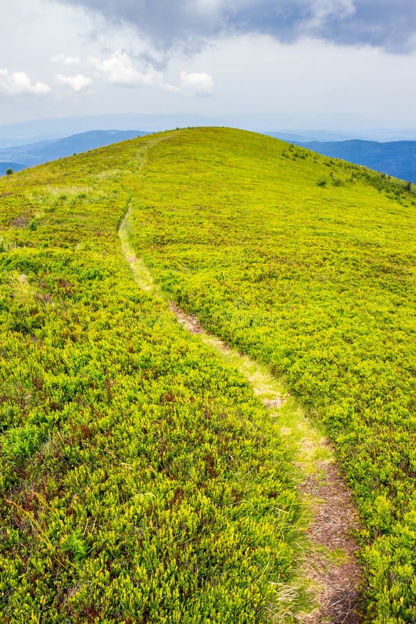 Curve Uphill Street at Yosemite, California Stock Image - Image of ...