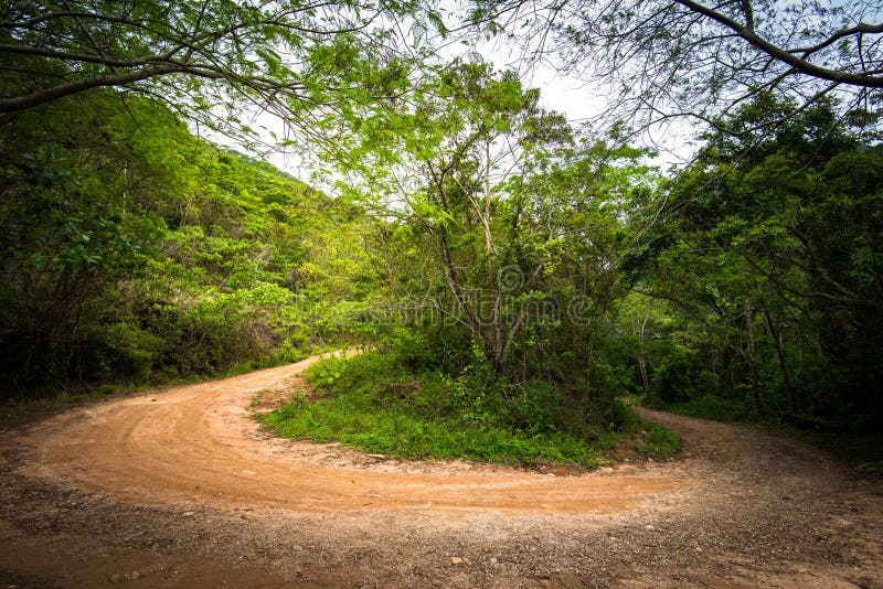 Curvy Road stock image. Image of curve, forest, road - 107523359