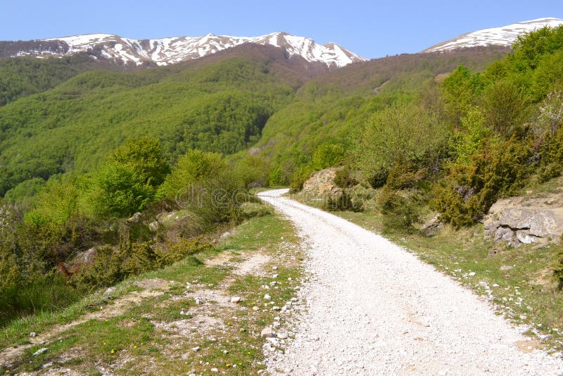 Mountain pathway stock photo. Image of calm, alpine, europe - 30752146