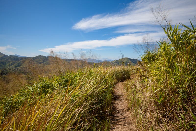 Mountain Pathway stock image. Image of forest, nature - 86214879