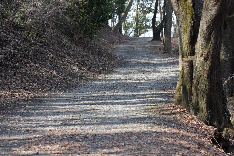 Mountain pathways stock image. Image of scenic, country - 142109227