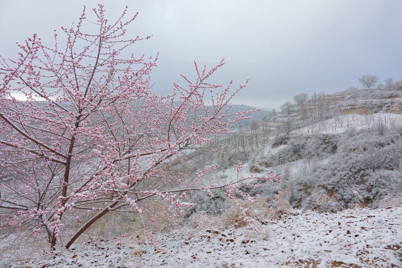 Mountain in early spring stock image. Image of scenic - 177781671