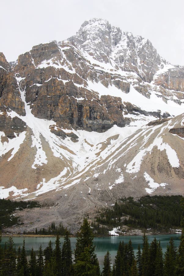 250+ Mountain peak forests Free Stock Photos - StockFreeImages