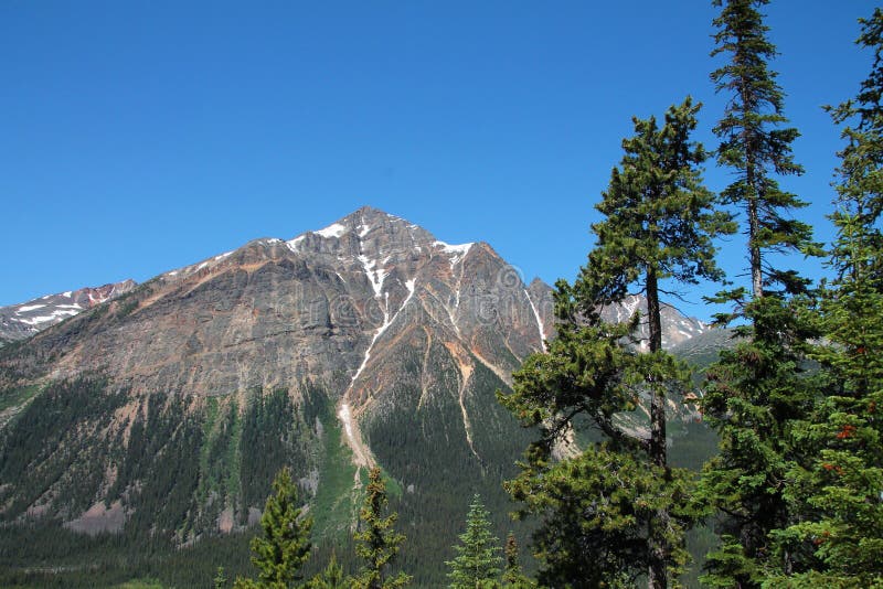 2,096 Mountain Treeline Stock Photos - Free & Royalty-Free Stock Photos ...