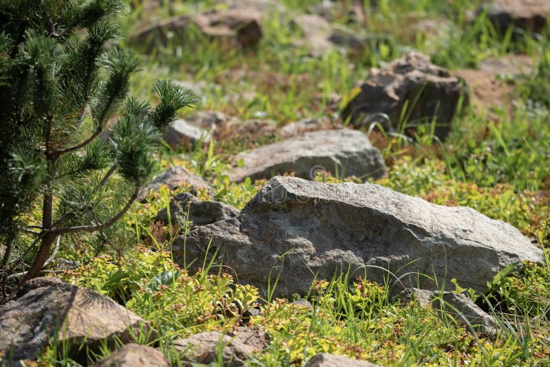 Mountain Peak Rocks View. Mountain Rock Climbing Path Stock Photo ...