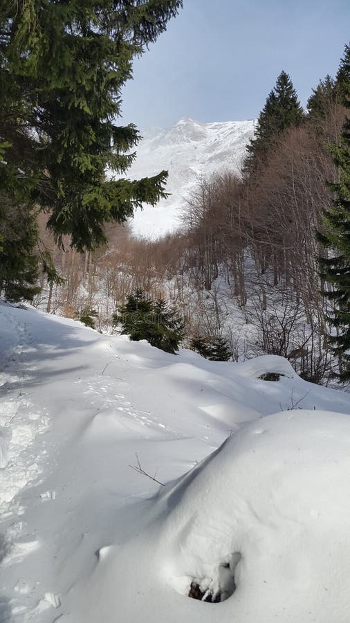 Mountain peak snow scape stock image. Image of snow, snowy - 49053377