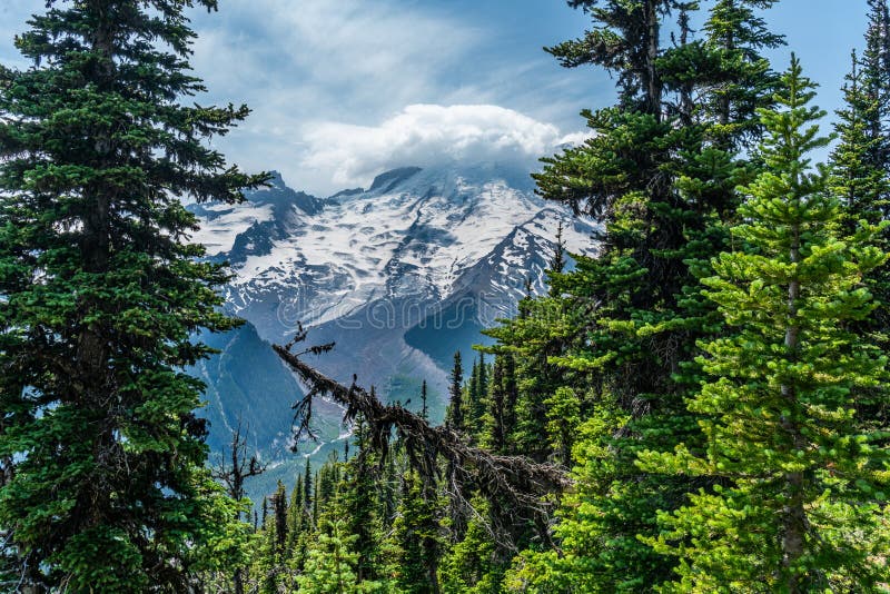 Mountain Peak and Trees 2 stock photo. Image of evergreen - 284078956