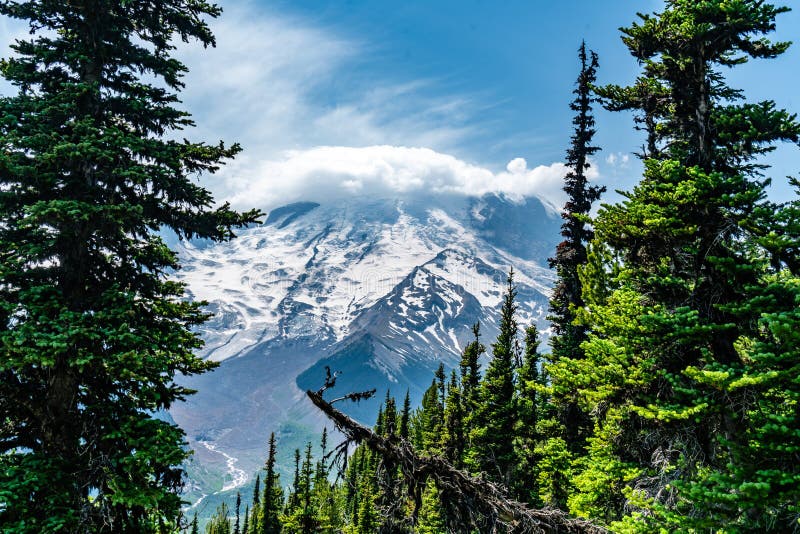 Mountain Peak and Trees 3 stock photo. Image of landscape - 284267512