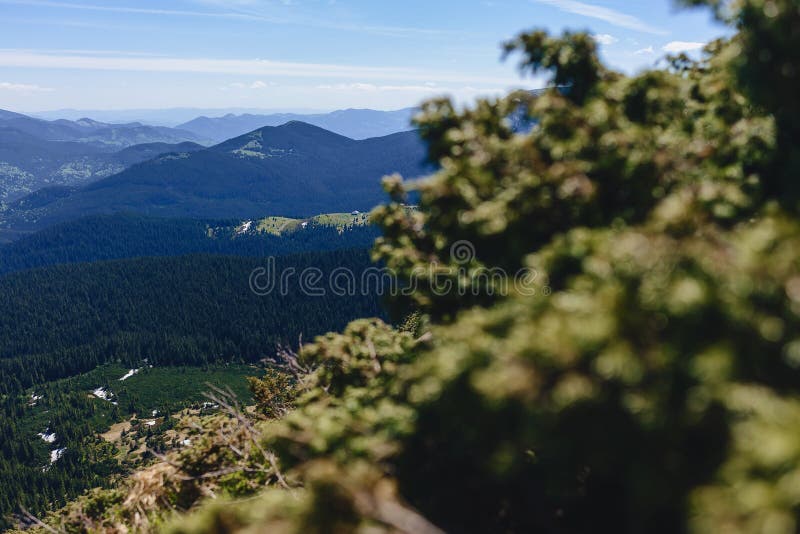 Mountain Peaks with Greenery and Snow in Carpathians Stock Photo ...