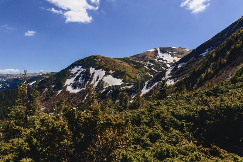 Mountain Peaks with Greenery and Snow in Carpathians Stock Photo ...