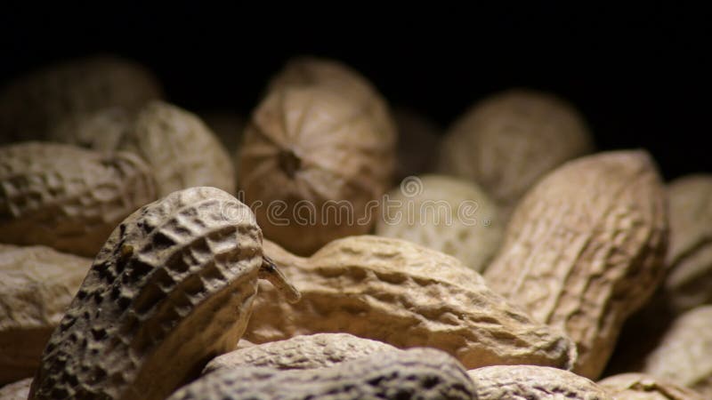 Peanuts legume gyrating stock video. Video of brown - 247865769