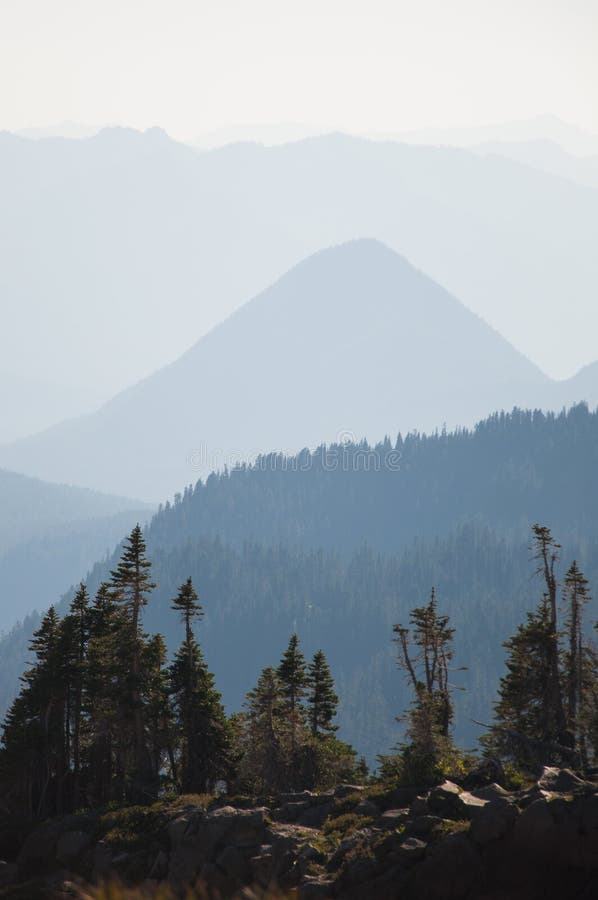 Mountain Perspective stock photo. Image of hills, evergreen - 100522666