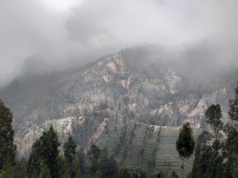 Mountain Picture with a Mist Stock Image - Image of morning, mountain ...